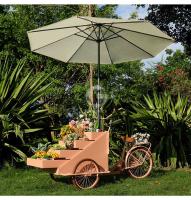China Outdoor Food Vending Cart with Soybean Raw Material and Three Wheels Electric Cargo Bike for sale