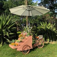 China Outdoor Food Vending Cart with Soybean Raw Material and Three Wheels Electric Cargo Bike for sale