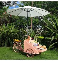 China Mobile Coffee Vending Cart Three Wheel Pizza Delivery Bike for Outdoor Street Vending for sale