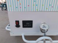 China Water System Included Stainless Steel Fast Food Trailer Truck Tricycle Mobile Food Cart for sale