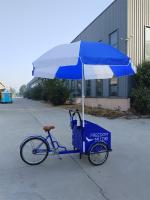 China Customizable Vegetables Electric Food Bike for Street Food Vending and Cigarette Cart for sale