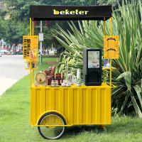 China Market Mobile Ice Cream Street Cart with Water System Customization and Voltage for sale