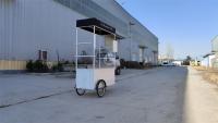 China 110v/220v Voltage Outdoor Fast Food Kiosk Ice Cream Bike for Outdoor Snack Sales for sale