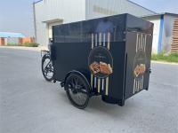 China Outdoor Street Vending Bike Cart with Cargo Space and 304 Stainless Steel Construction for sale