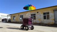 China 220v/110v Mobile Cart for Ice Cream Concession Refrigerator Freezer in Seasoning Plant for sale