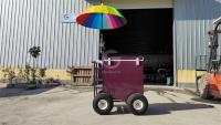 China Hand Push Food Cart for Street Vending 830*650*2200mm Size 220v/110v Voltage for sale