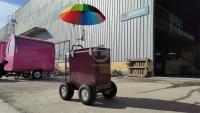 China Hand Push Food Cart for Street Vending 830*650*2200mm Size 220v/110v Voltage for sale