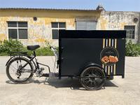 China Outdoor Street Vending Cart for Versatile Farmers Market and Shopping Convenience for sale