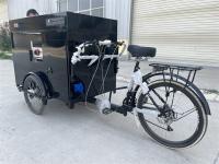 China Customized Color Electric Mobile Drink Tricycle for Fast Food and Coffee Cart Sale for sale