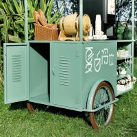 China Maximize Delivery Efficiency with Our 110v/220V Tricycle 400kg Capacity for sale