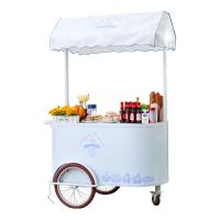 China Fast Food Cart Hand Push Ice Cream Cart for Sale Food bike business for sale