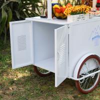 China Fast Food Cart Hand Push Ice Cream Cart for Sale Food bike business for sale