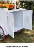 China Ice Cream Tricycle Bike  Portable Push Cart for Frozen Treats for sale