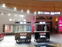 China Hot Sale Bike Soft Serve Ice Cream Cart For Sale for sale