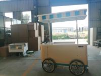 China Low Price Tricycle Fried Ice Cream Vending Cart For Sale for sale
