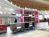 China CE Approved Mobile Hand Push Hard Ice Cream Cart Popsicle Cart With Showcase for sale