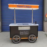 China Electric Gelato Push Food Hand Push Cooled Popsicle Beach Freezer Ice Cream Cart for sale