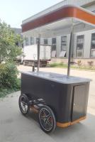 China Electric Gelato Push Food Hand Push Cooled Popsicle Beach Freezer Ice Cream Cart for sale