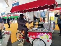 China Factory sale ice cream food van for sale/popsicle cart/vending ice cream bicycle for sale