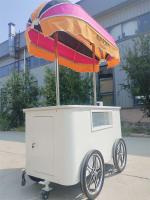 China High Quality Food Truck Ice Cream Display Cabinet Gelato Popsicle Ice Cream Push Cart for sale