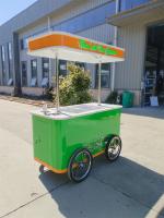 China Jekeen Customized Gelato Pedalling Vending Van Ice Cream Food Bike for sale