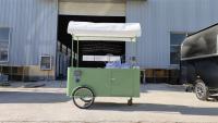 China China Supplier Colorful street mobile food cart high quality fast food truck hot sale food trailer coffee bike cart for sale