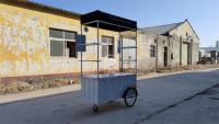 China Customize color size Ice Cream Push Carts fast food trolley for promotion selling hamburger for sale