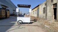 China Customize color size Ice Cream Push Carts fast food trolley for promotion selling hamburger for sale
