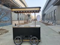 China Gelato showcase kiosk popsicle freezers hand push Italian ice cream display cart for sale