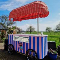 China Mobile Food Snack Ice Cream Vending Cart for Sale for sale