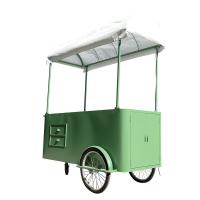 China Custom 3 Wheel Cargo Bike Hand Push Cart Street Food Delivery Bike with Display Freezer for sale for sale