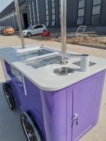 China Mobile Italian ice cream hand push cart bike with display freezer Gelato stand cart with wheels for sale