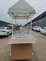 China Green on the Go Handmade Beverage Bikes for a Sustainable Food Cart Business for sale