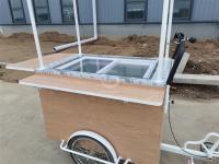 China Green on the Go Handmade Beverage Bikes for a Sustainable Food Cart Business for sale