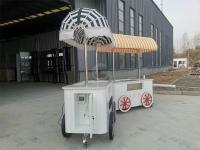 China Customized Street Carts With Fridge Food Push Cart New Shop Market Park Ice Cream cart for sale