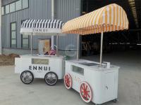 China Custom Ice Cream Push Vending Cart With Freezer Mobile Italian Gelato Trolley Cart for sale