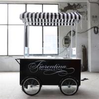 China Customization Bike Food Cart 100kg Weight for Outdoor Street Vending for sale