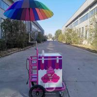 China Ice Cream push Cart for Mobile Food Business with 80L freezer for sale