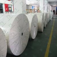 China High Gloss Kraft Food Packaging High Bulk Uncoated Cupstock Base Paper No PE Cupstock Paper for sale