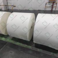 China 100% Virgin Wood Pulp Uncoated Cupstock Base Paper Between 150gsm and 350gsm for sale