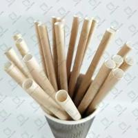 China Eco Friendly Holiday Party Supplies Biodegradable OEM Custom Food Grade Paper Straws for sale