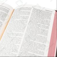 China 36gsm Virgin Wood Fiber And Tenacity Good Priting Bible Paper In Rolls And Sheet for sale