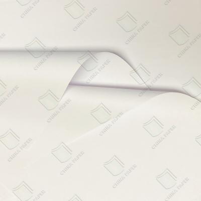 China 80gsm 90gsm Uncoated Woodfree Printing Paper For Description Manual for sale