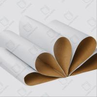 China WTL White Top Testliner Top Kraft Liner Paperboard for sale