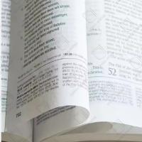 China 28-60g Uncoated Offset Printing Paper Dictionary Paper Religious Book Paper for sale