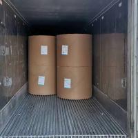 China Custom White Tissue Paper Tear Resistant Napkin Tissue Paper  16/17/18 gsm OEM High Whiteness High Quality For different usage for sale