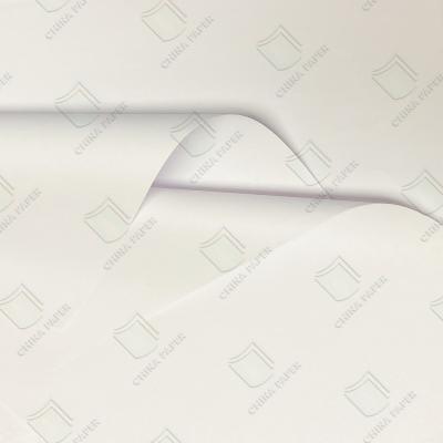 China 100%-101% Whiteness Good Ink Absorption Uncoated Woodfree Paper For Printing School Textbook for sale