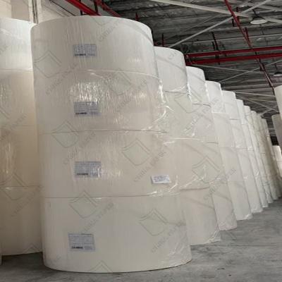 China 100% Biodegradable Materia Tissue Paper for Hand Towel 36gsm in roll for sale