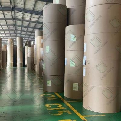 China FDA Grade Liquid Packaging Board In Roll Lpb Milk Packaging Board 200-300GSM for sale