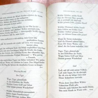 China Low Gream Offset Paper  for Printing Bibles And medical instructions in 100% virgin wood pulp for sale